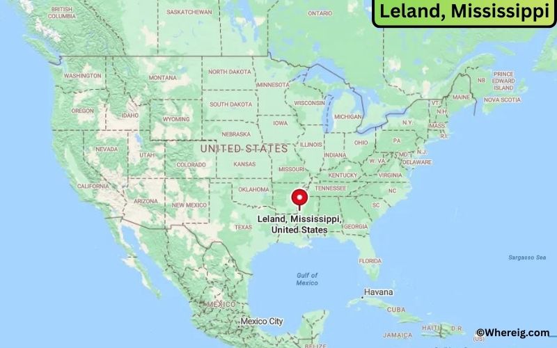Where is Leland, MS, USA? | Location Map of Leland, Mississippi