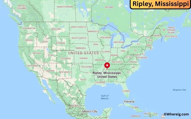 Where is Ripley, MS, USA? | Location Map of Ripley, Mississippi